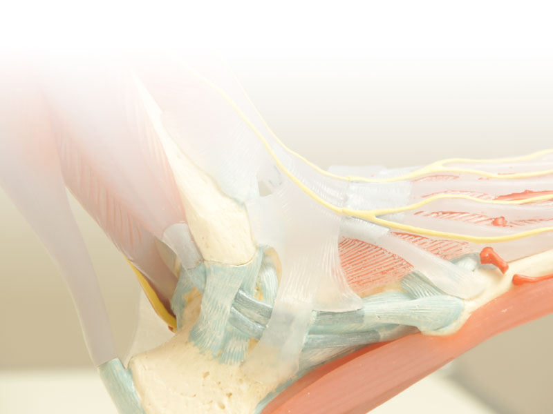 Perineurale Injektionstherapie (PIT) | Dr. Med. M. Knöringer